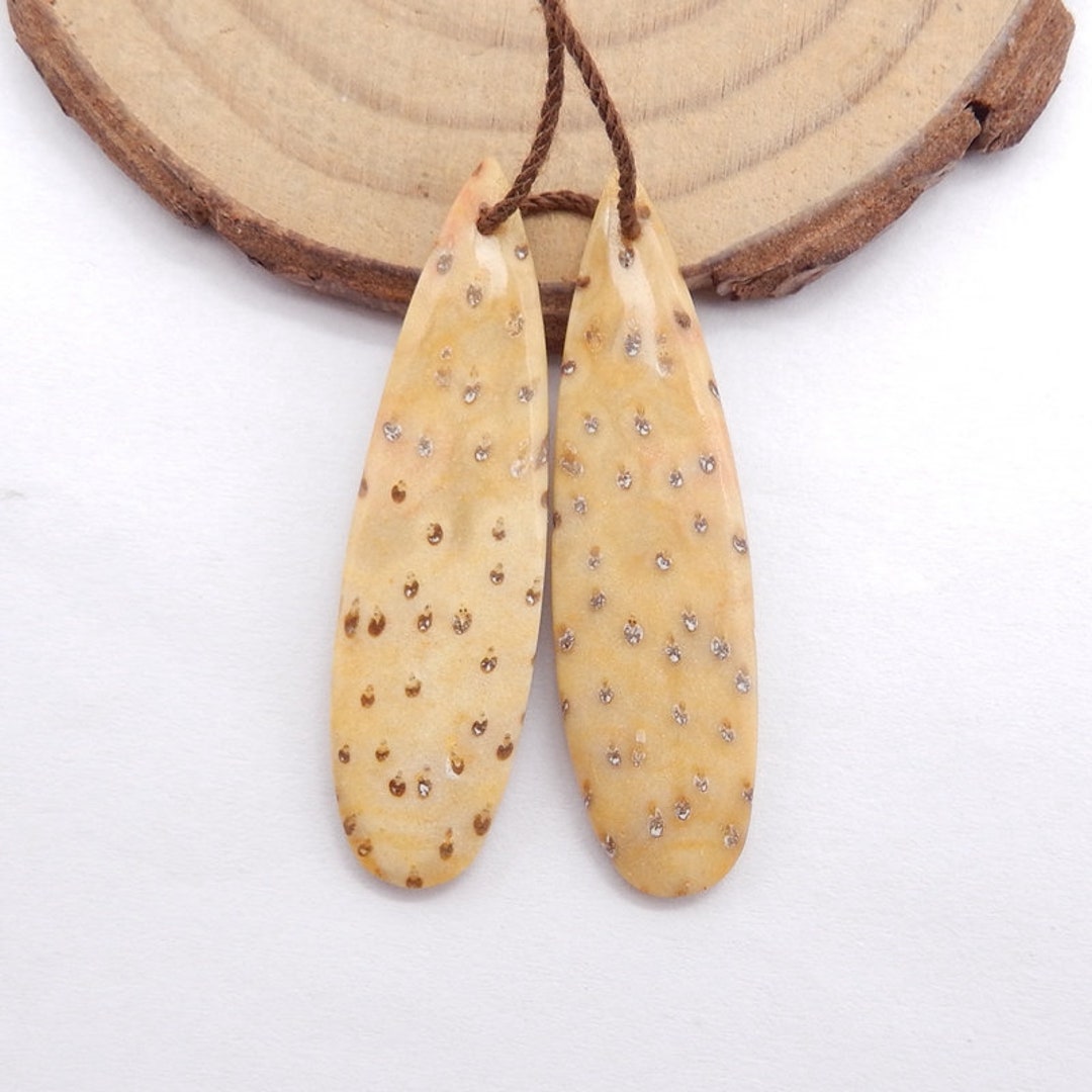 New Natural Coconut Fossil Teardrop Gemstone Earring - Etsy