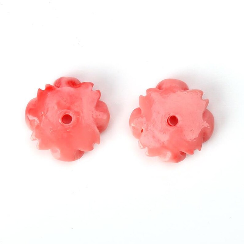 Pink Conch Shell made of Powder of Shell Color is Enhanced - Etsy