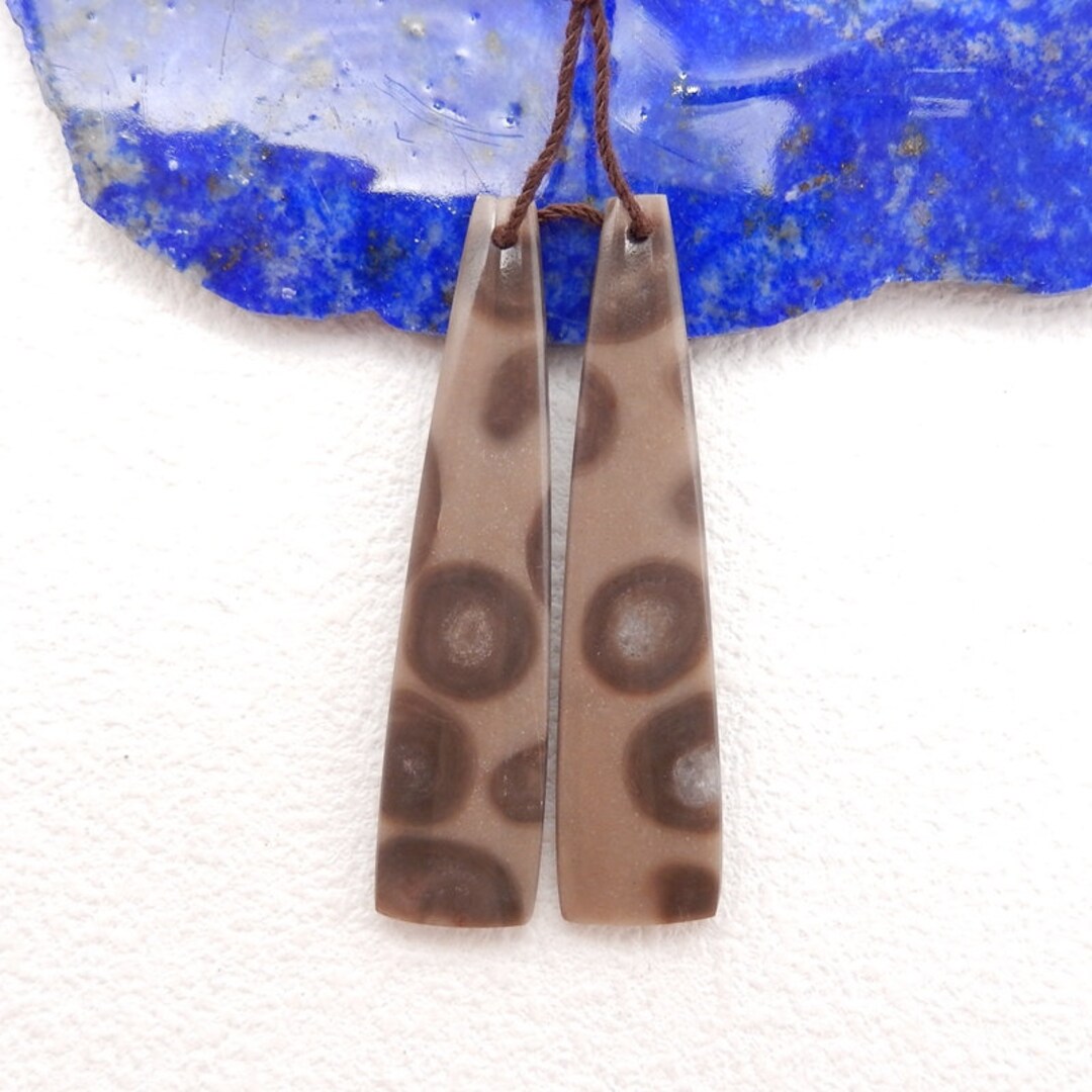 New Natural Crinoid Fossil Triangle Gemstone Earrings Bead, 47x11x4mm ...