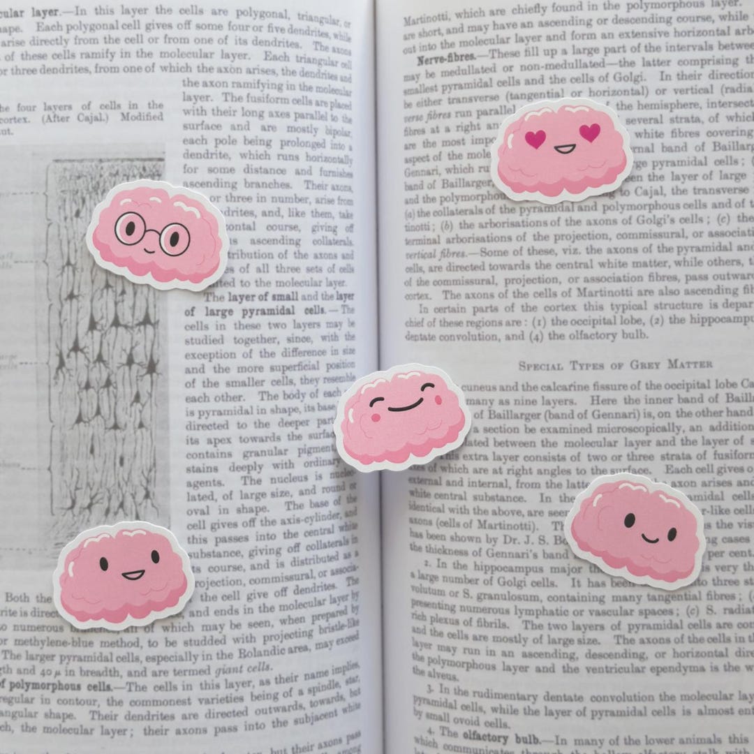 Cute Brain Stickers for Neuroscience, Neurology, Psychology ...