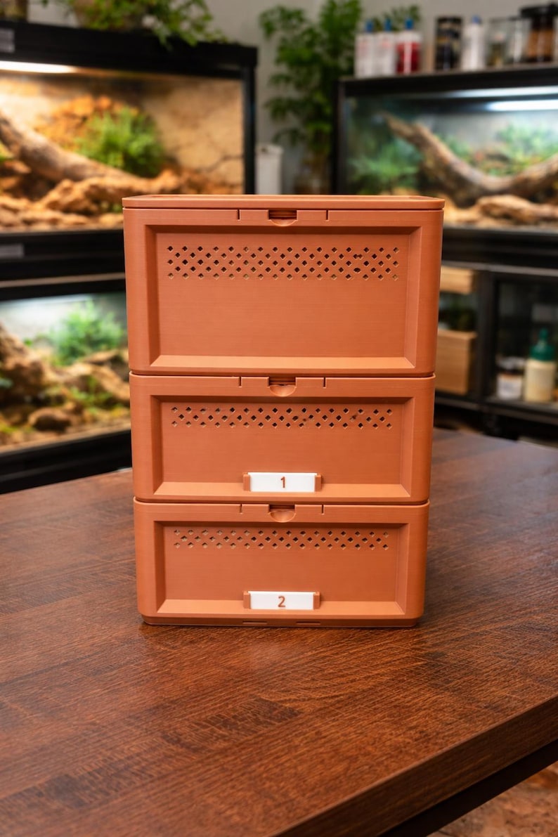 Superworm Breeding System- Breed and Raise Your Own Live-feeders - Etsy