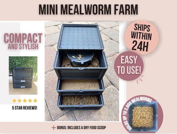 Mealworm Breeder Kit Worm Farm Mealworm Breeding Kit - Complete 3-Tray ...