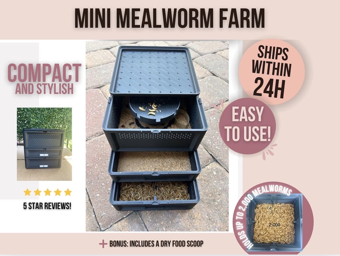 Mealworm Farm- Breed and Raise Your Own Live-feeders - Etsy
