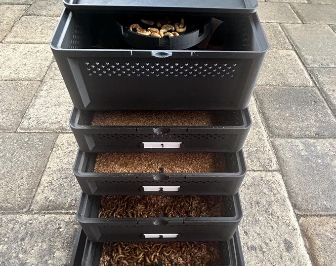 Max Stack! 5 Tier Mealworm Farm- Breed and Raise Your Own Live-feeders ...