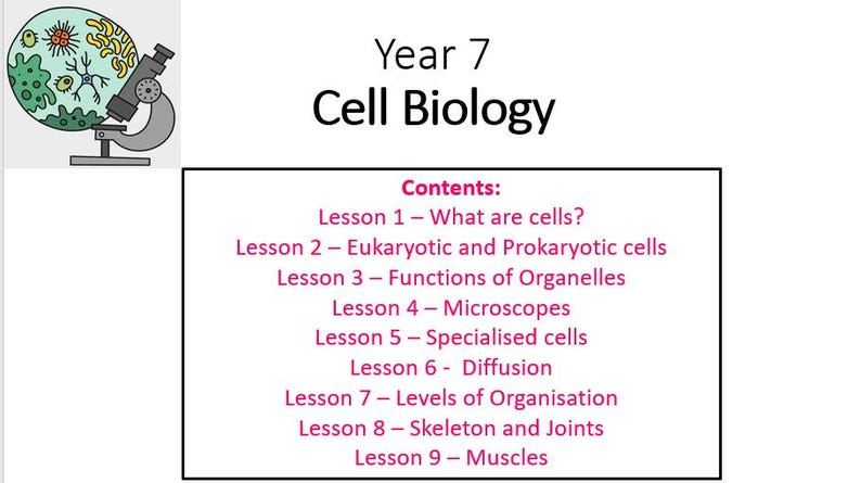 KS3 Cell Biology and Human Body Systems Bundle / Science Worksheets and ...