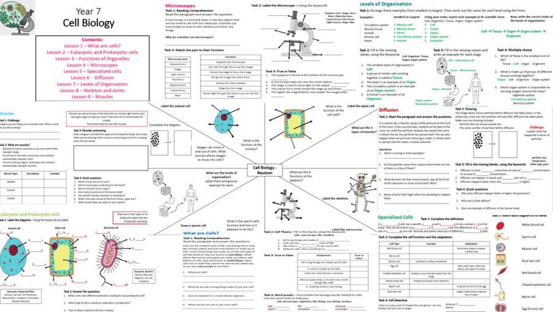 KS3 Cell Biology and Human Body Systems Bundle / Science Worksheets and ...