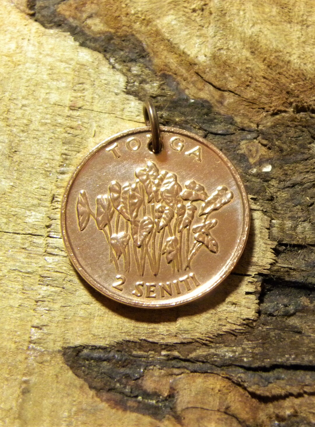 Taro Plant Coin Pendant Tonga 1990 Copper Charm P590 - Etsy