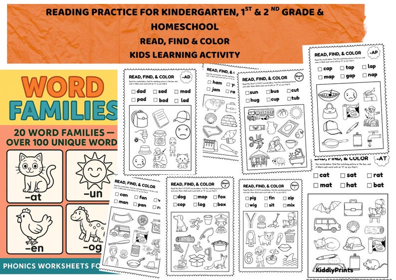 CVC Word Family Worksheets: Read, Find & Color - Phonics for ...