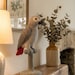 African Grey Parrot Crochet Pattern, Realistic Bird Amigurumi PDF ...