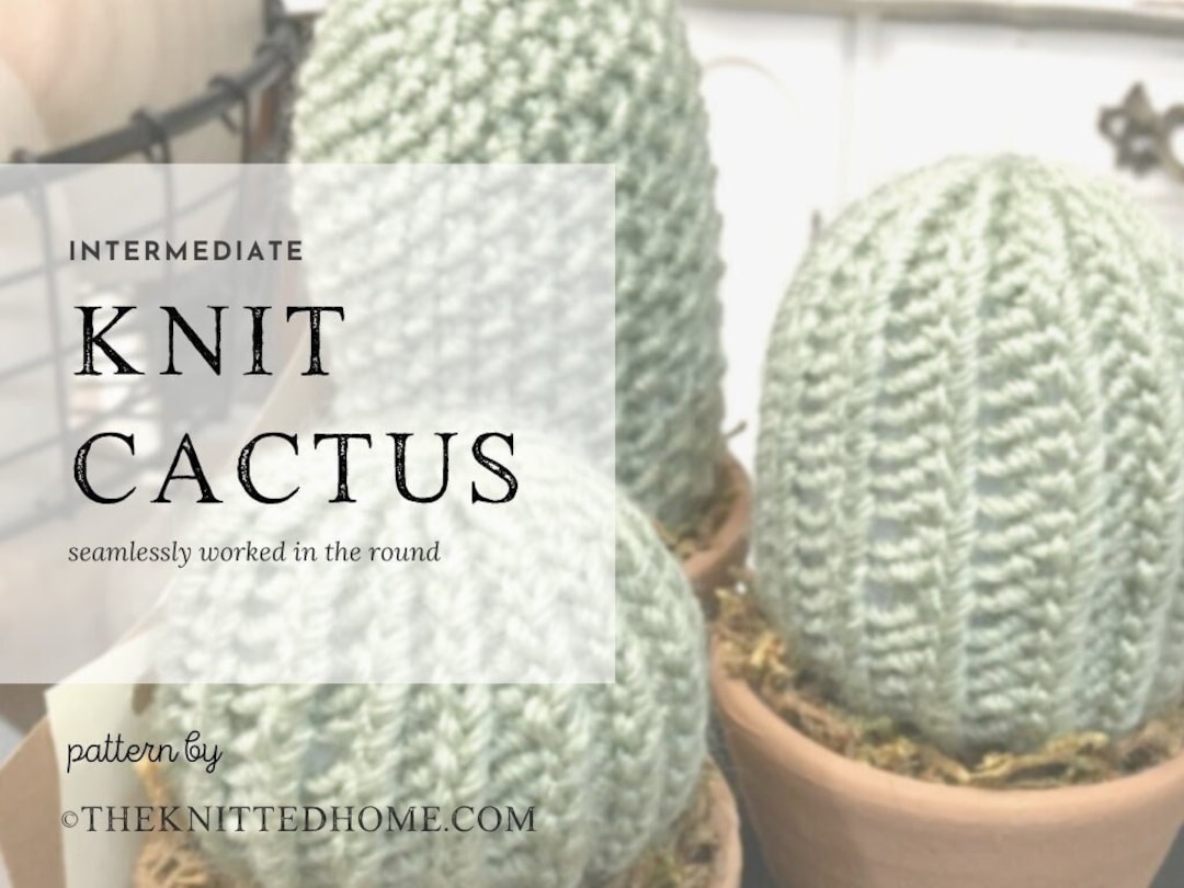 PATTERN for Knit Cactus Immortal Succulent: Illustrated Step-by-step ...