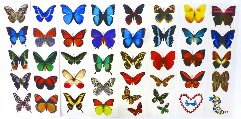 Temporary Butterfly Tattoos 10 Sheets free Shipping - Etsy