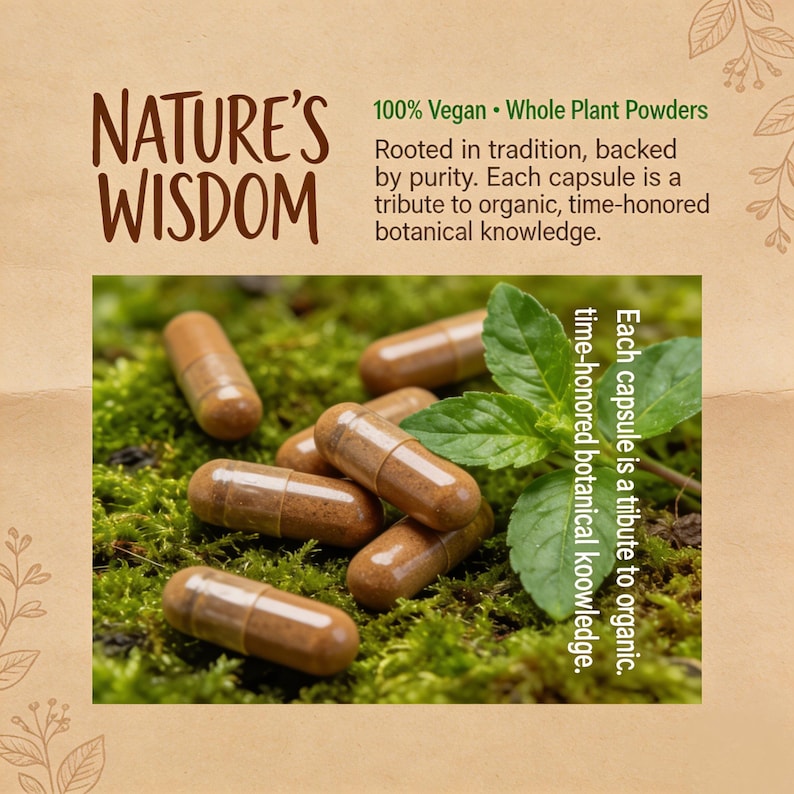 Kudzu Root, Japanese Raisin Tree Fruit (hovenia Dulcis) Capsules >> for ...