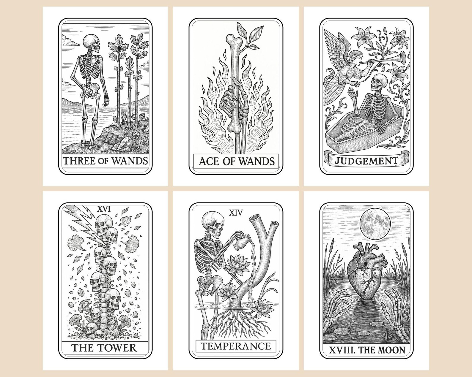 Tarot Coloring Book – Memento Mori Art, Anatomy & Floral Cards for ...