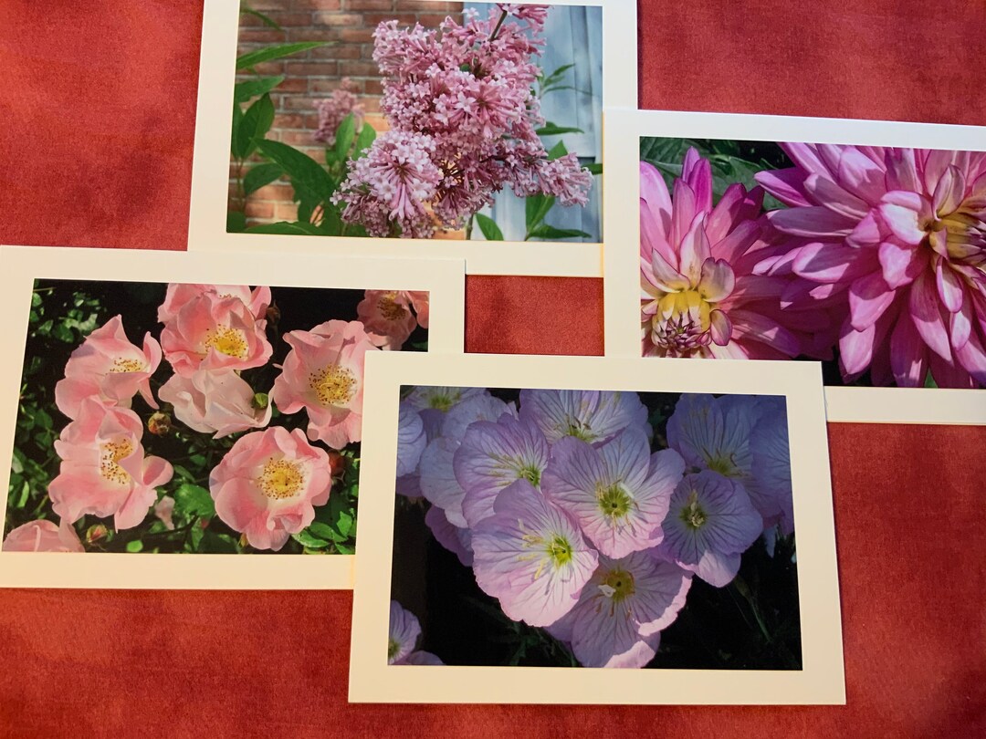 Blank Photo Notecards, Pink Flower Cards, Set of 4 Mounted Photo Cards ...