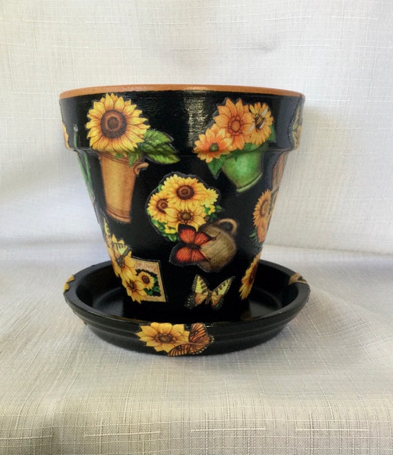 6 Inch Sunflowers Sunflowers in Flower Pots Sunflowers - Etsy
