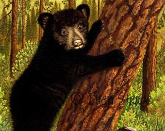 Black Bear Note Cards - Etsy