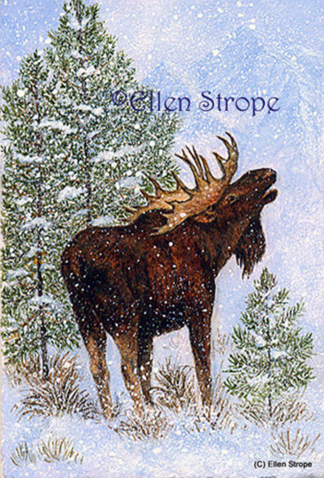 NOTE CARD, Moose, Snow, Trees, Bull Moose, Cabin Decor, Lodge Decor ...