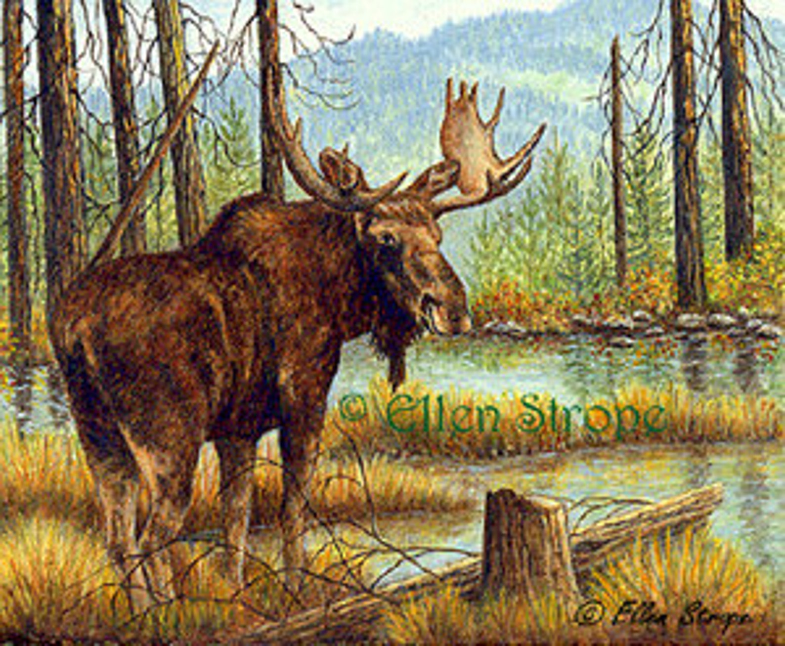 NOTE CARD Moose Prince Forest Water Trees Bull Moose - Etsy