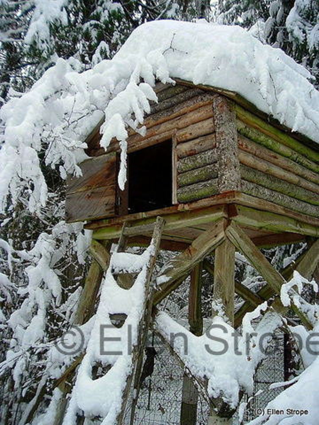 PHOTO Note Card Alaskan Cache Snow Winter Beautiful - Etsy