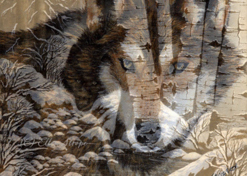 CARD, Note Card, Wolves, Multi Exposure, Aspen Trees, Wolf Decor, Ellen ...