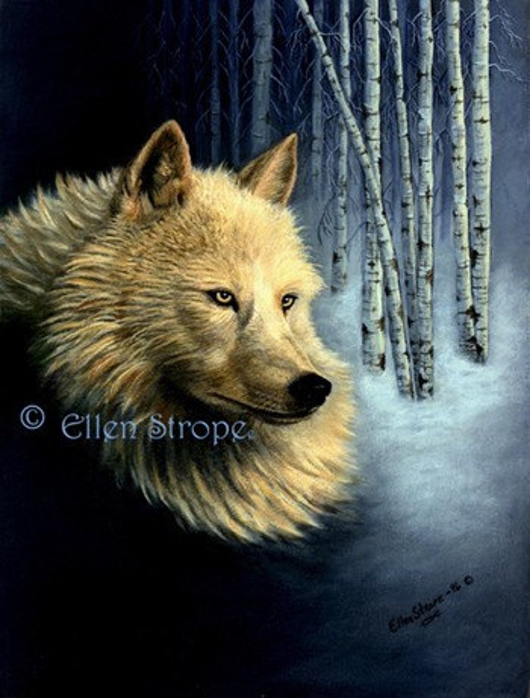 WOLF Note Cards White Wolf Fine Art Wolves Wolf Decor - Etsy