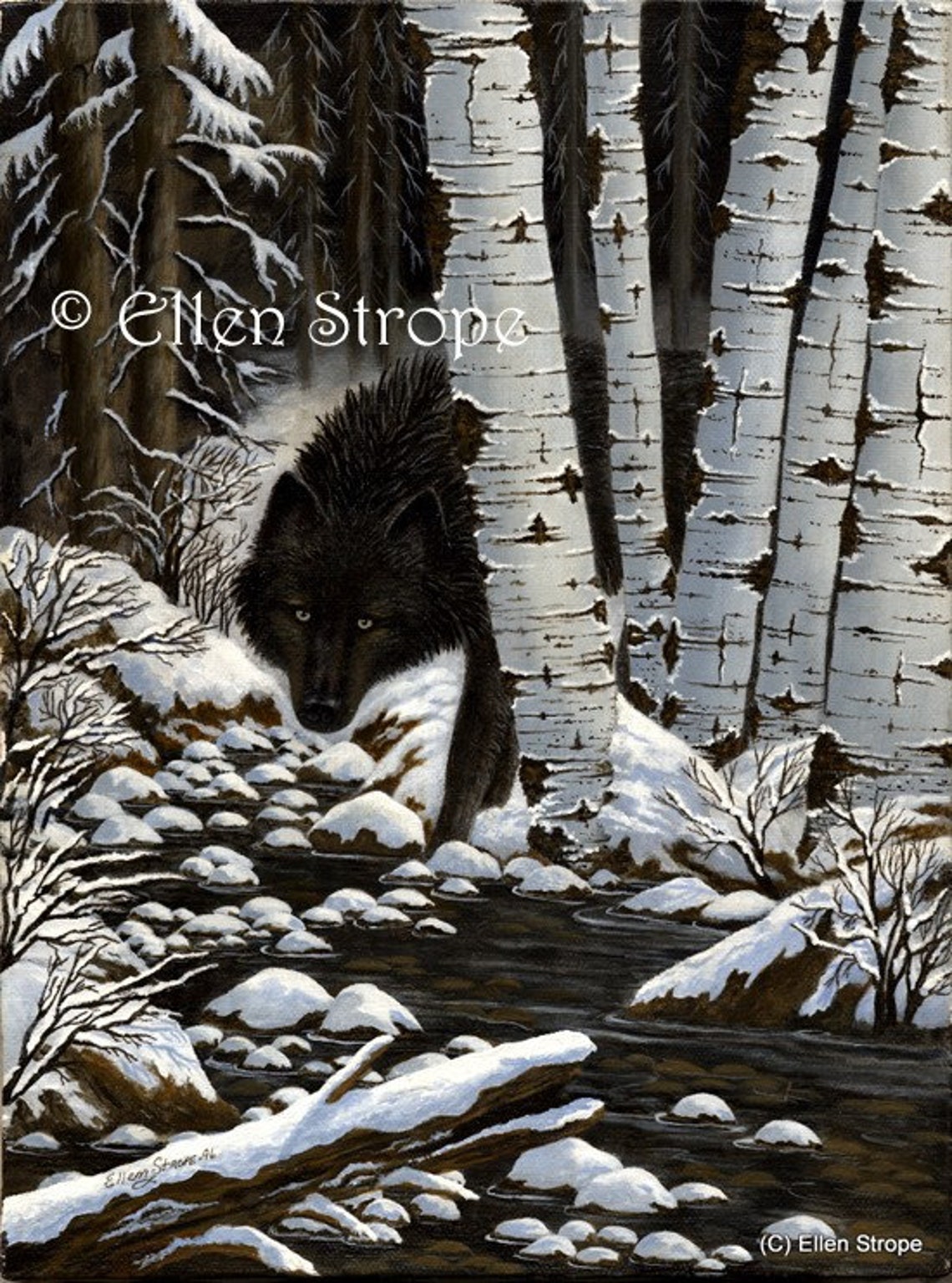 CARD Note Card Wolf Black Wolf Aspen Trees Wolf Decor - Etsy