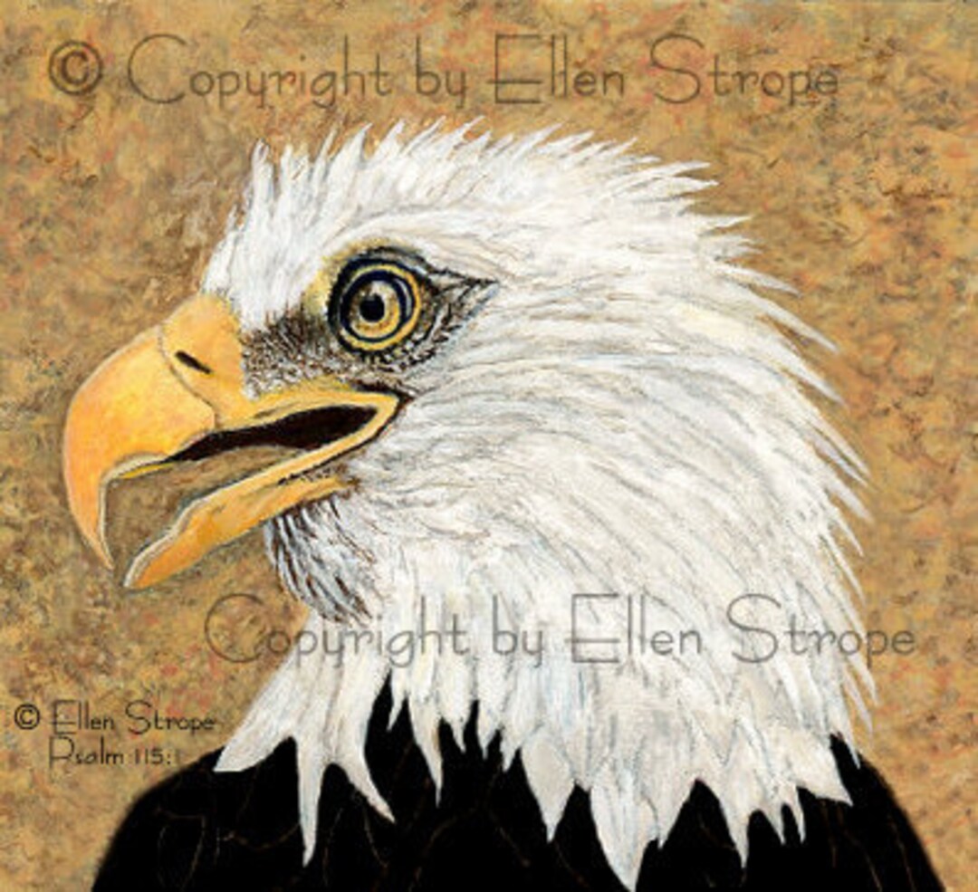 ACEO Card Bald Eagle Bird Art Bird ACEO ACEO Cards Bird - Etsy