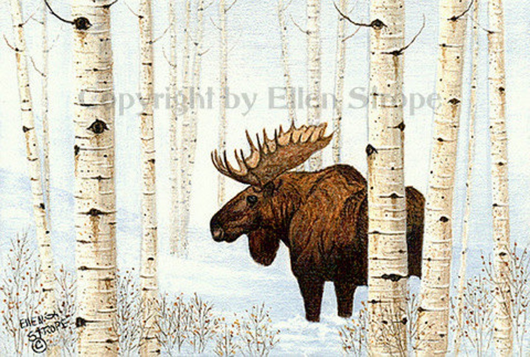 Print, MOOSE, Aspen Trees, Moose Decor, Giclee Print, Small Prints ...