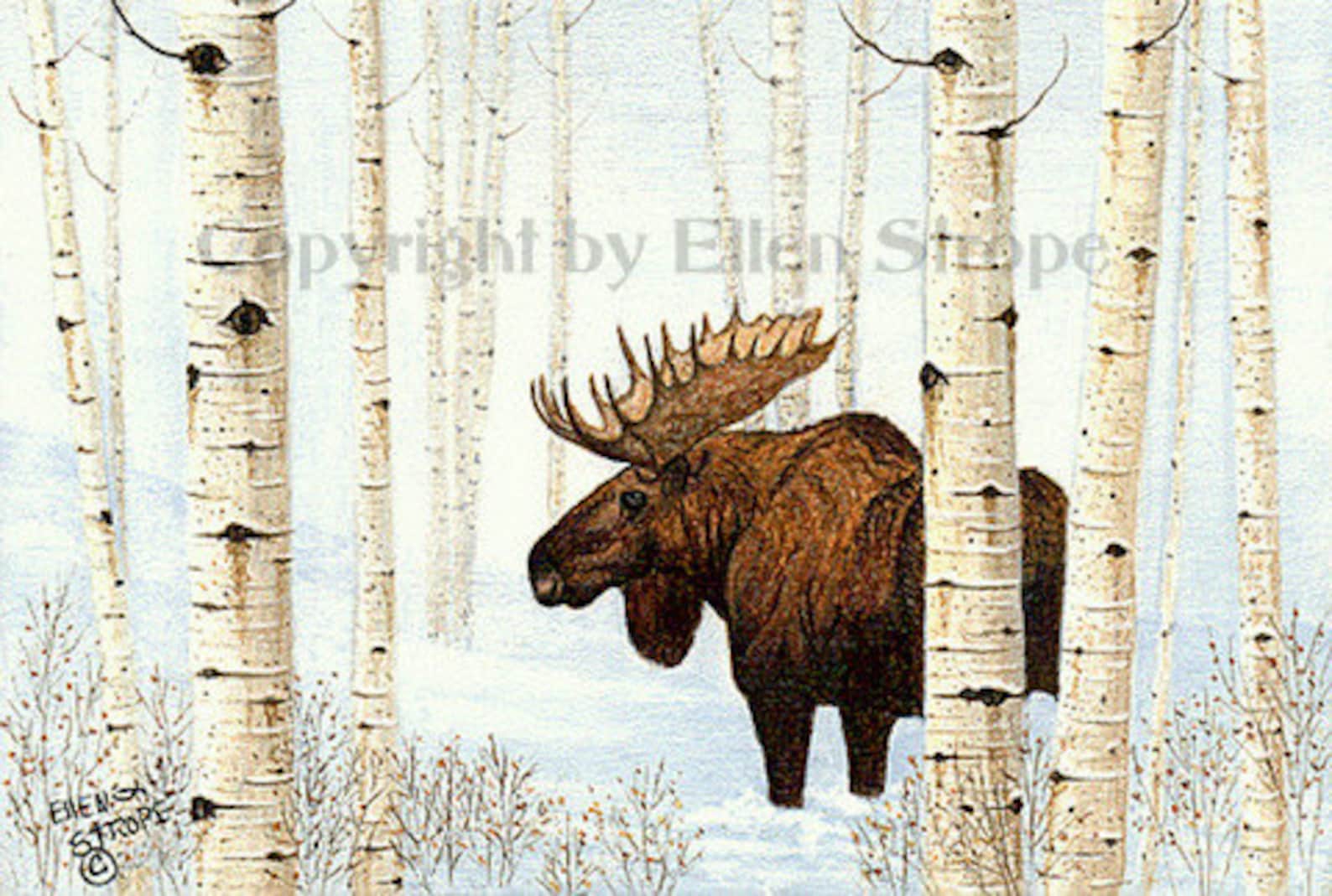 Print, MOOSE, Aspen Trees, Moose Decor, Giclee Print, Small Prints ...