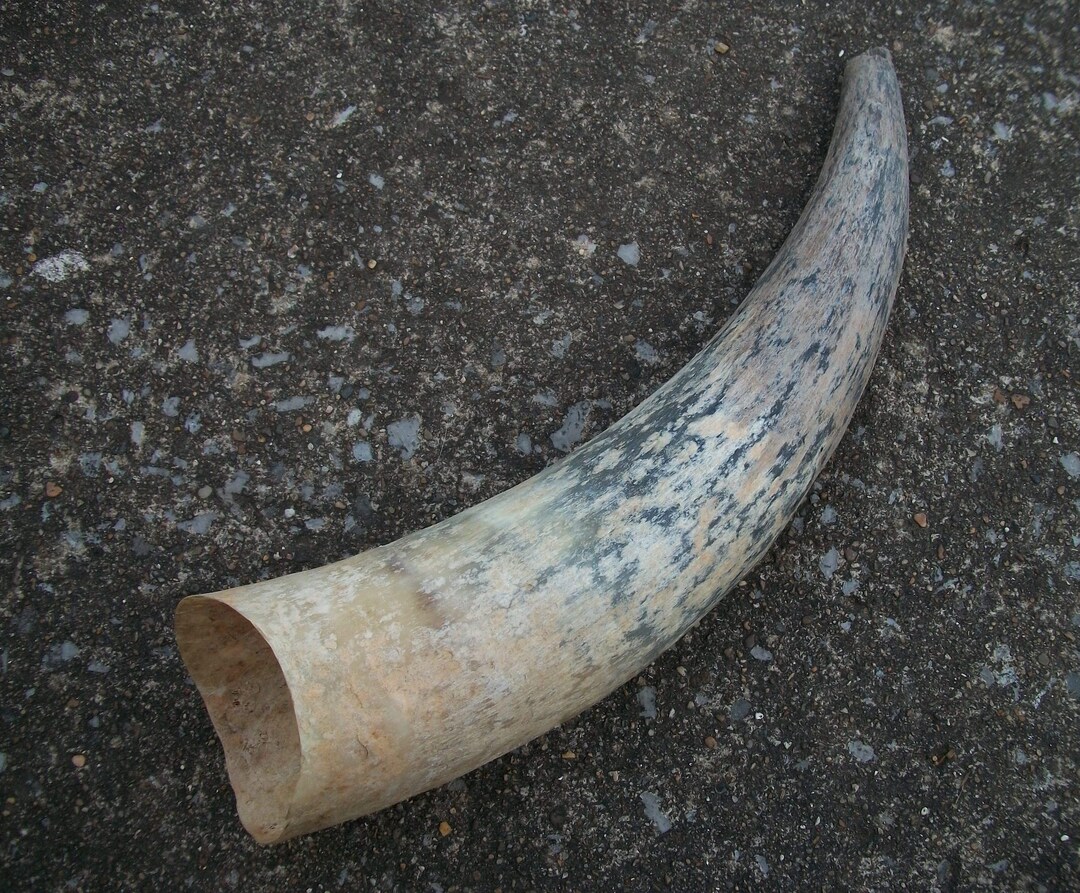 Real Cow Horn Sheath Natural & Unpolished - Etsy