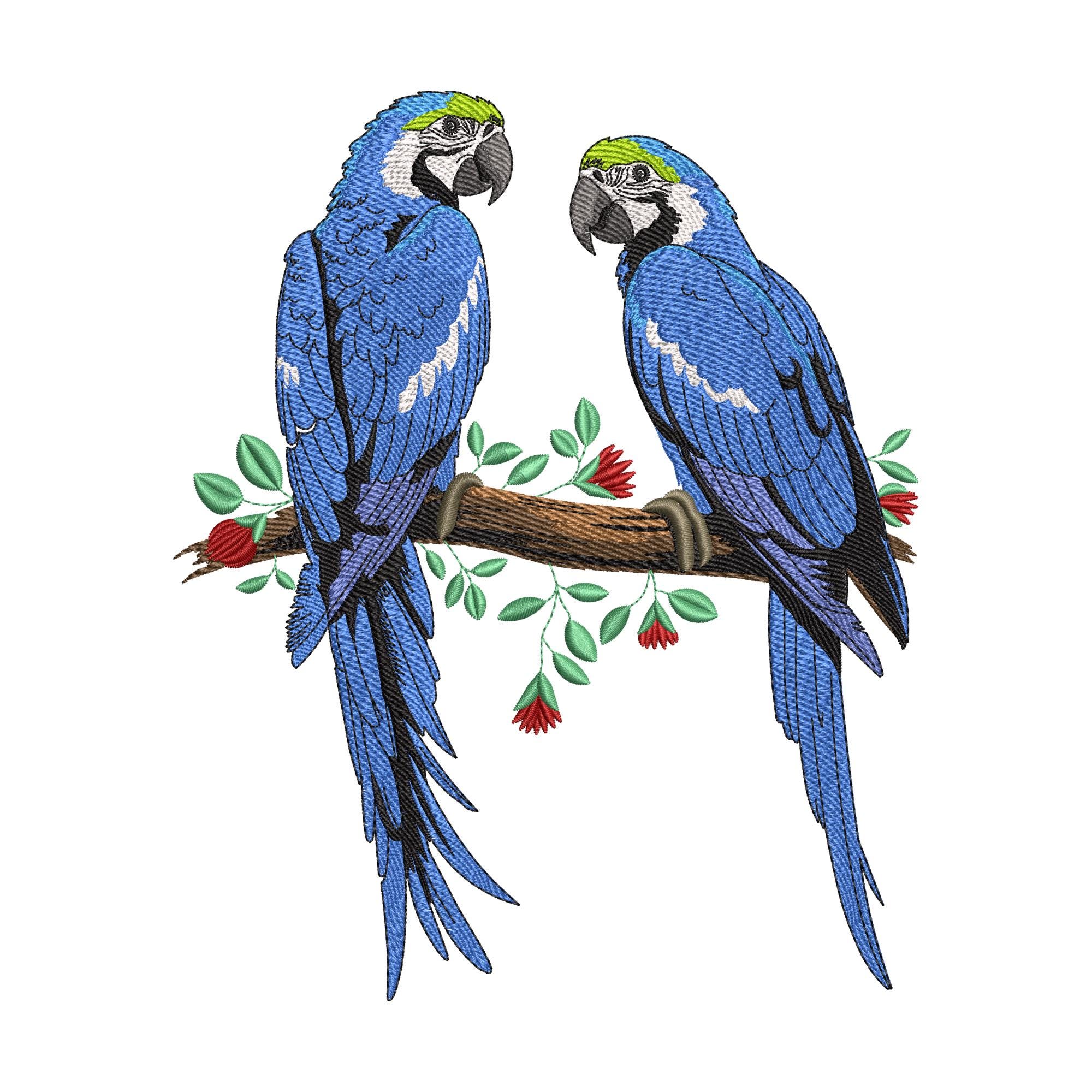 Blue Macaw Parrots Embroidery Design, Pair on Branch Machine Embroidery ...