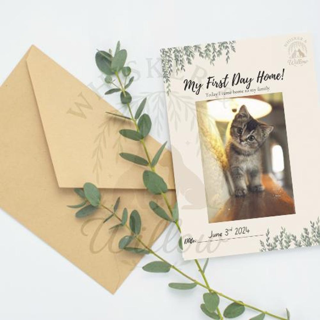 Kitten Milestone Cards L 5x7 Printable PNG & PDF L Pets Firsts for Cats ...