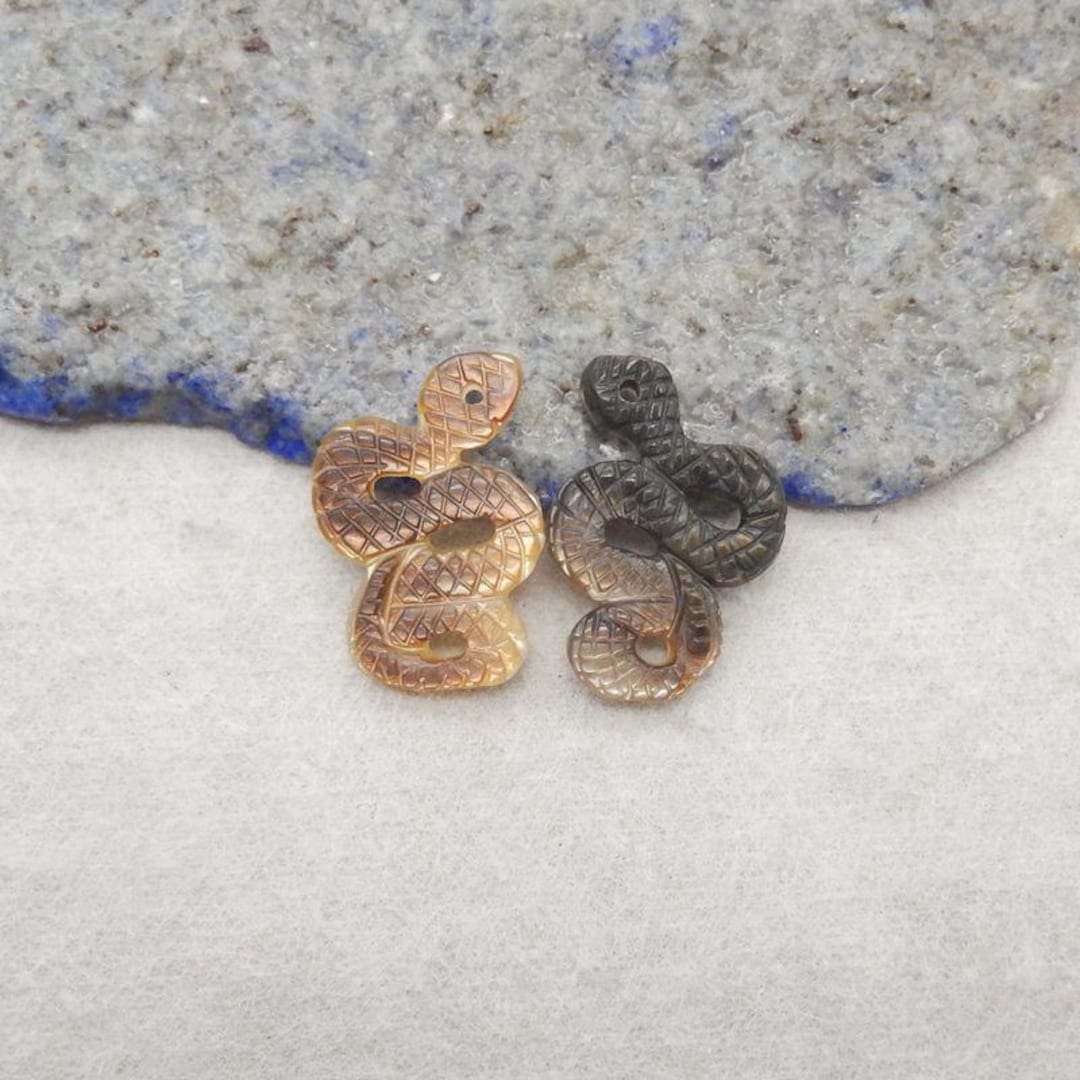 Carved Natural Gray Shell Snake Gemstone Earring Beads, Unique Jewelry ...