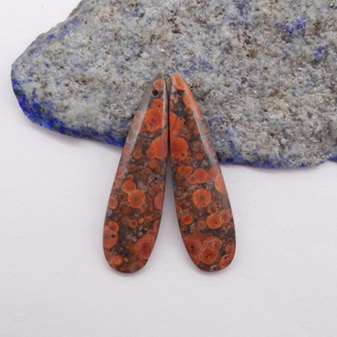 Natural Orbicular Rhyolite Bird's Eye Jasper Gemstone Earring Beads ...