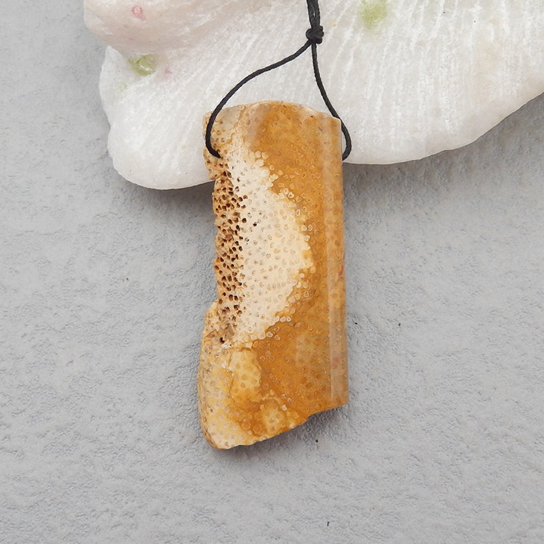Nugget rough Sides Natural Coconut Fossil Gemstone Pendant Bead ...
