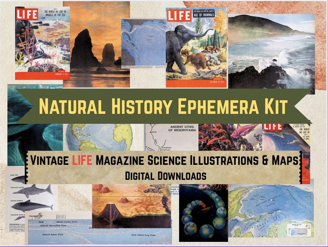 Vintage Maps Science & Ecosystems "the World We Live In: Natural ...