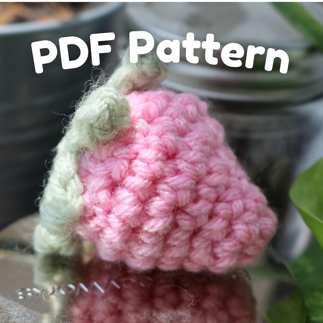 Crochet Strawberry PDF Pattern: Amigurumi Beginner-friendly (digital ...