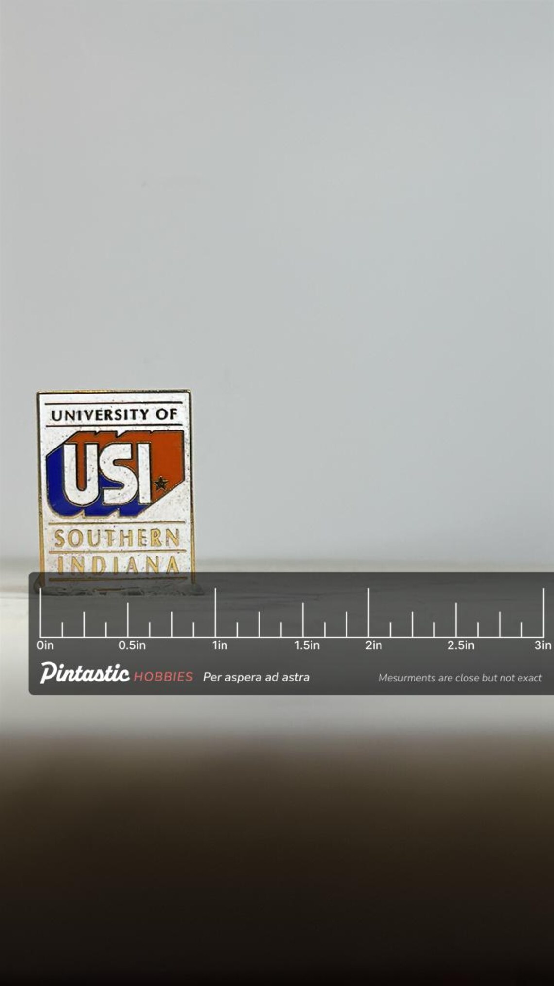 University of Southern Indiana Pin: White Enamel & Gold Trim - College ...