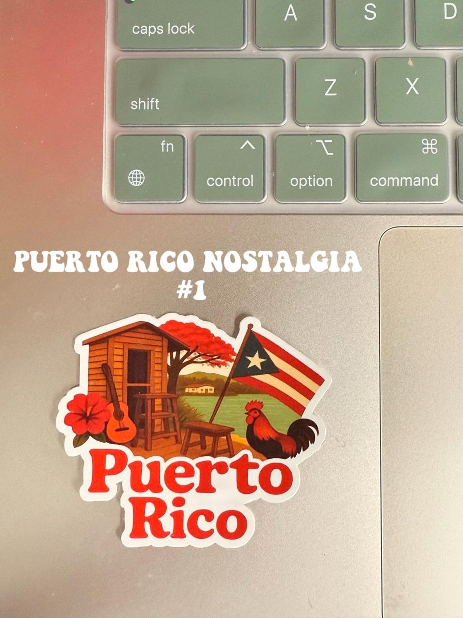 Puerto Rico Nostalgia Gallo Rooster Flamboyan Flame Tree Casita Retro ...