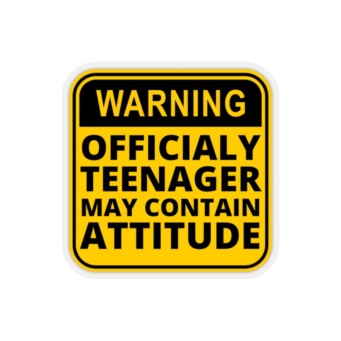 Warning Officially a Teenager Stickers - Etsy