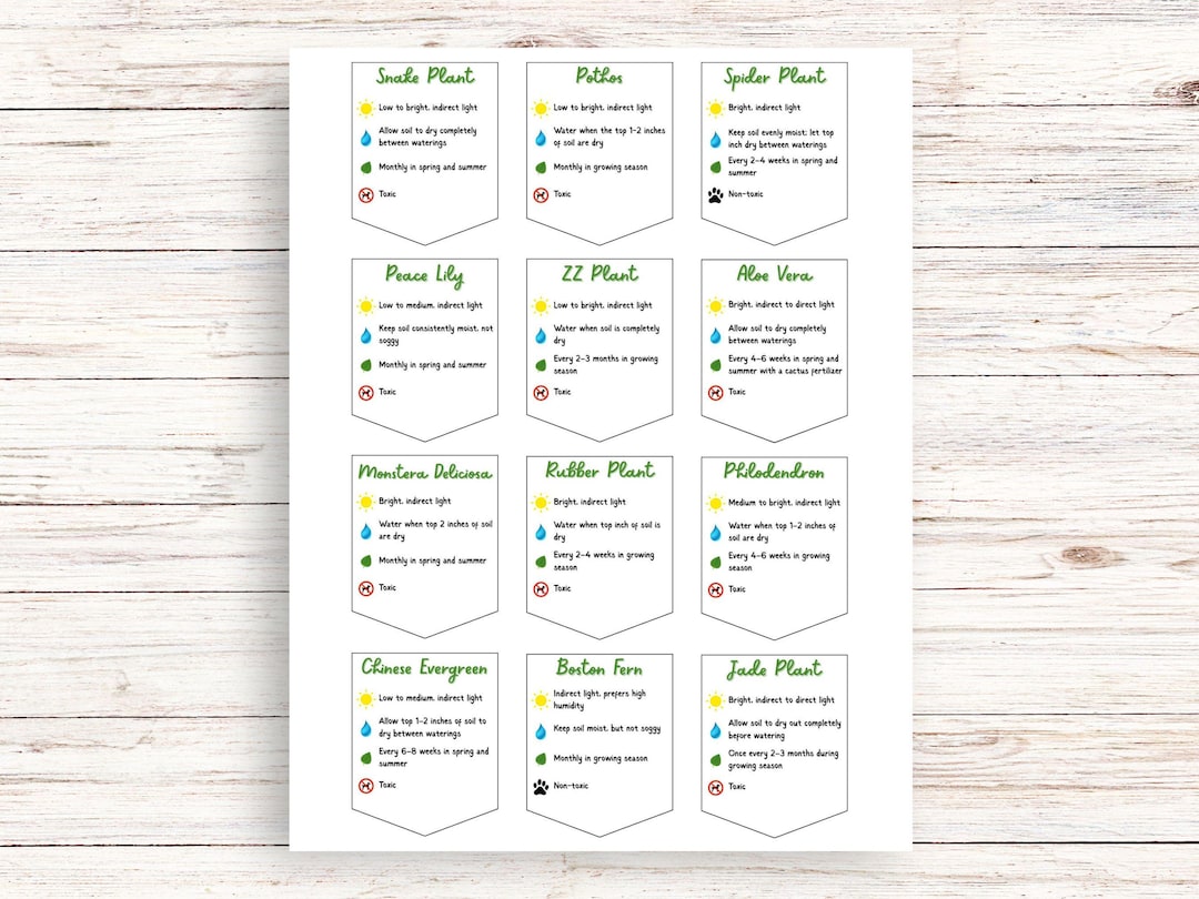 Plant Care Tags, Printable Plant Care Labels, Houseplant Labels - Etsy