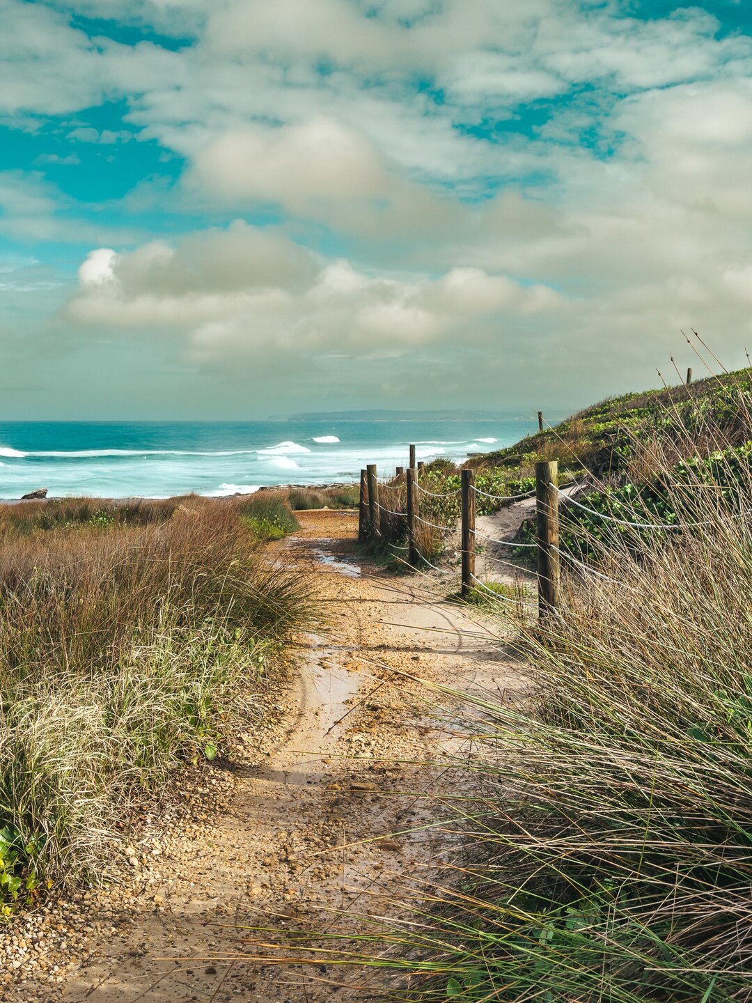 Printable Photo of a Coastal Path, Ocean Photography, Beach Print ...