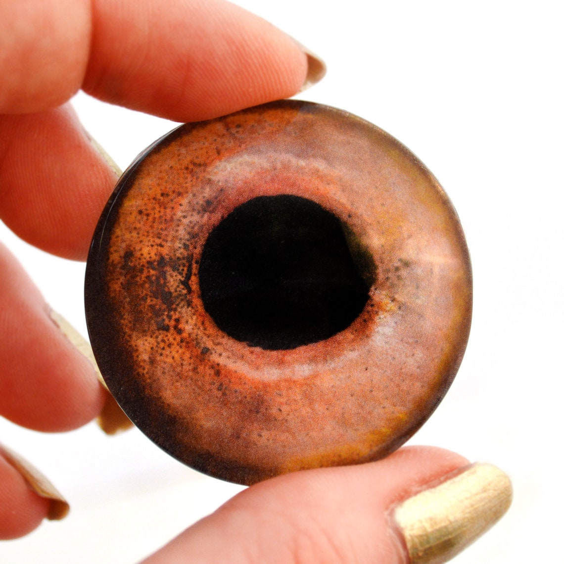 Realistic Wild Fish Glass Eyes - 6mm to 40mm - Jewelry Cabochons Doll ...
