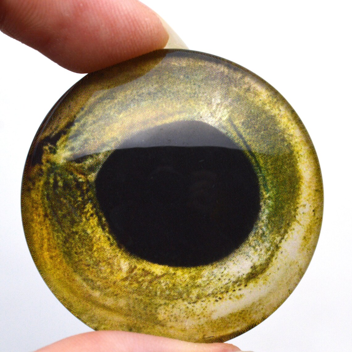 Sockeye Salmon Realistic Fish Glass Eyes - 6mm to 40mm - Natural ...