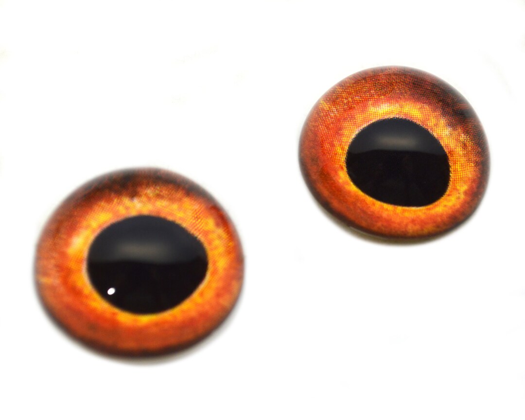 High Dome Orange Tench Fish Half Sphere Bulging Glass Eyes Ocean Animal ...