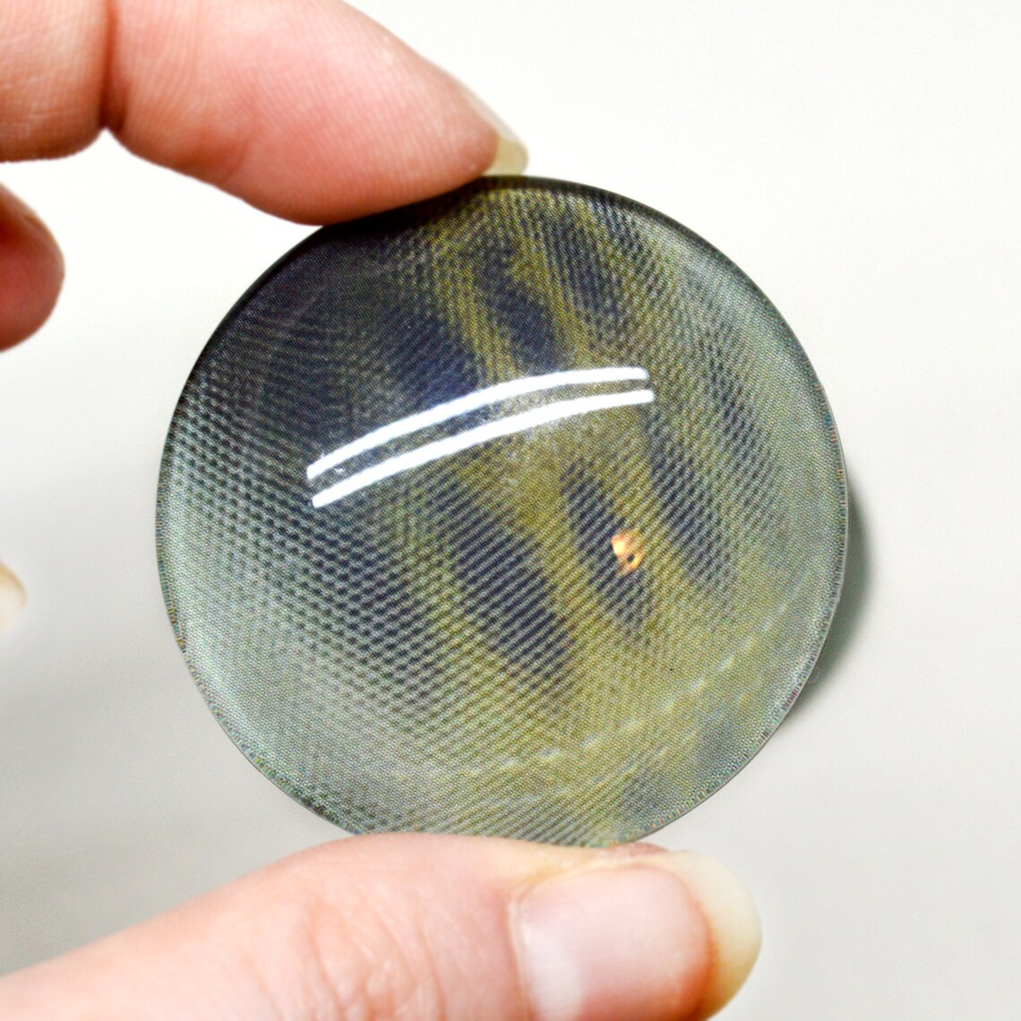 Yellow and Black Bee Bug Insect Compound Glass Eyes, 6mm to 40mm ...