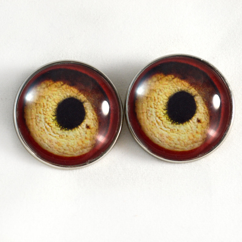 10mm - 30mm Vulture Bird Button Eyes Sew on Shanks With Loops Red Tan ...