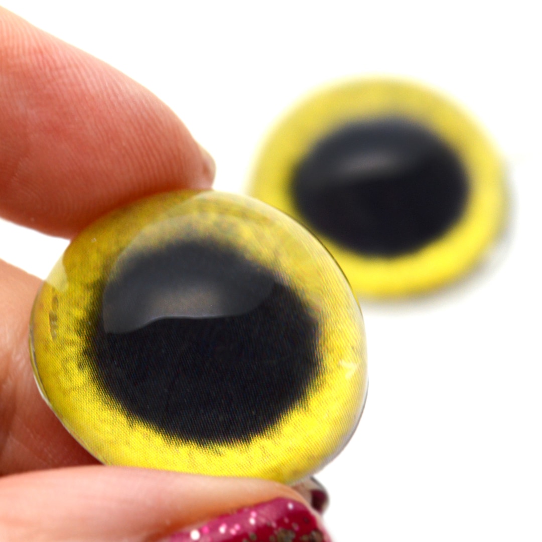 High Dome Yellow Osprey Half Sphere Glass Bird Animal Eyes | Hemisphere ...