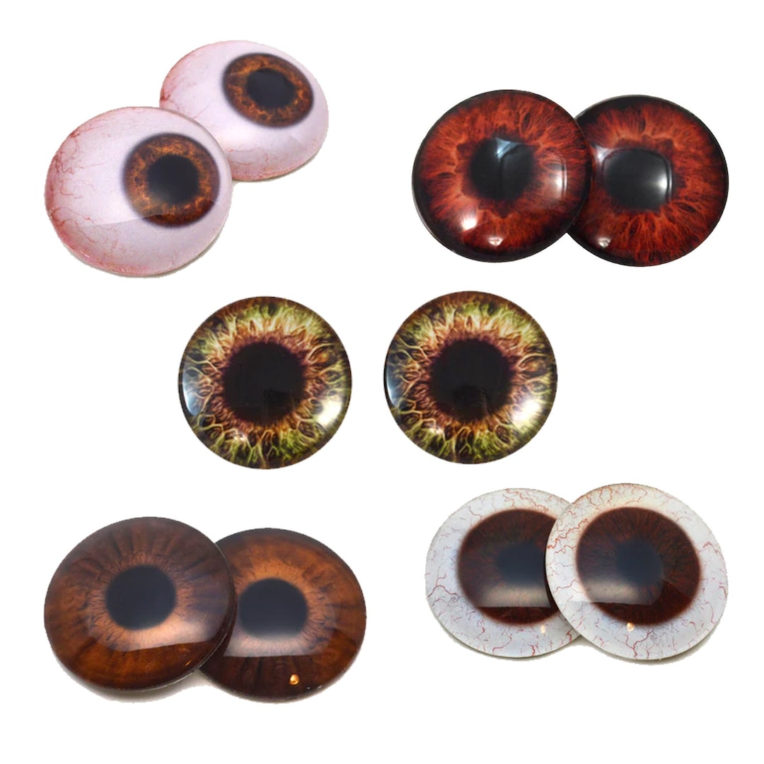 5 Pairs Brown Human Eyes Collection Discounted Bundle Set of 10 Eyes ...