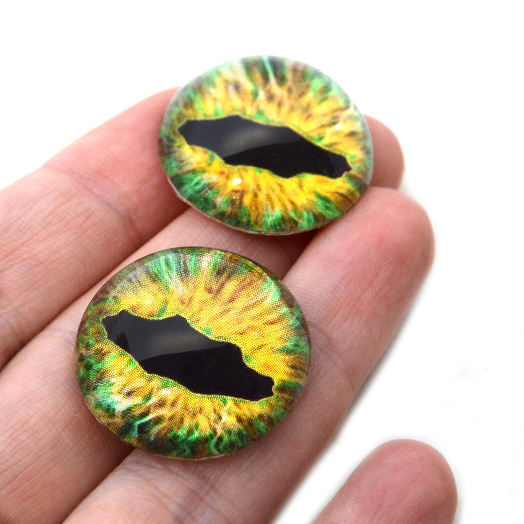 High Dome Transfixing Earth Dragon Dragon Half Sphere Glass Eyes ...